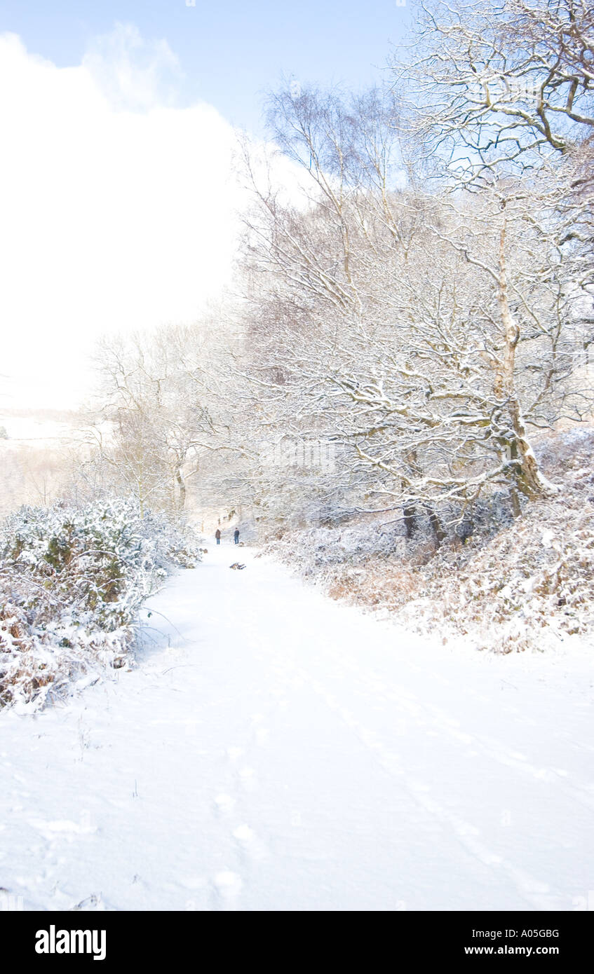 Quakers walk hi-res stock photography and images - Alamy