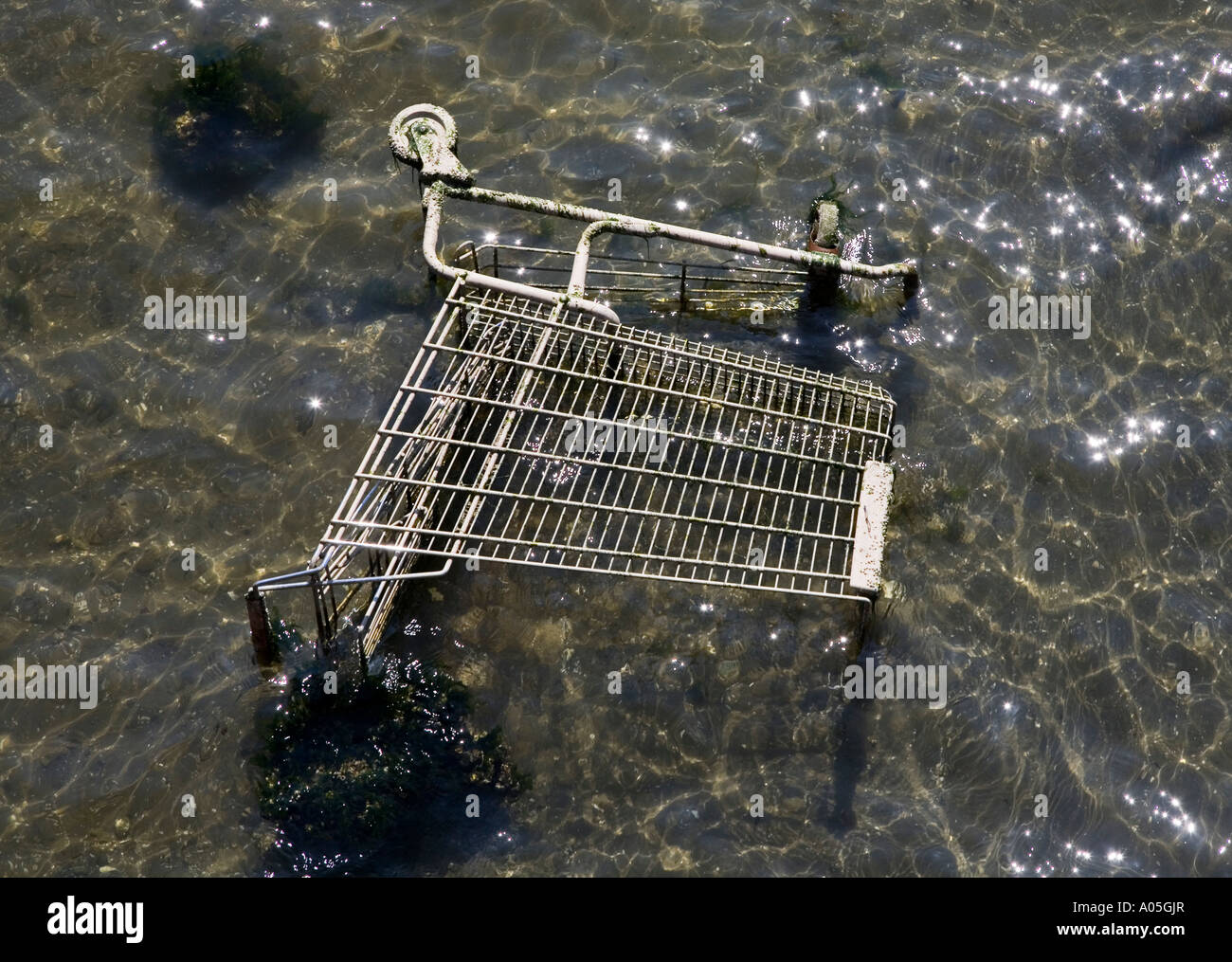 Stolen shopping trolley thrown in river Bellingham USA Stock Photo - Alamy