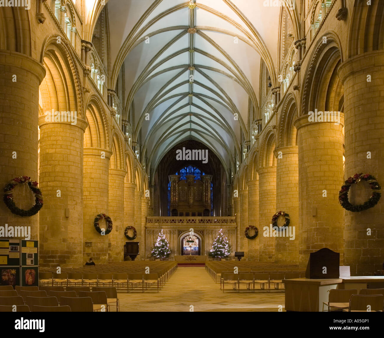 Gloucester cathedral nave hi-res stock photography and images - Alamy
