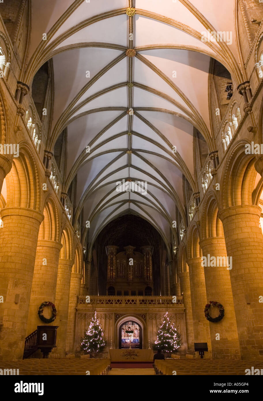 Gloucester cathedral nave hi-res stock photography and images - Alamy