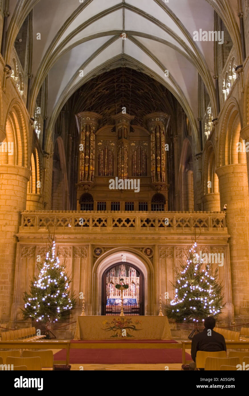 Gloucester Cathedral Nave High Resolution Stock Photography and Images ...