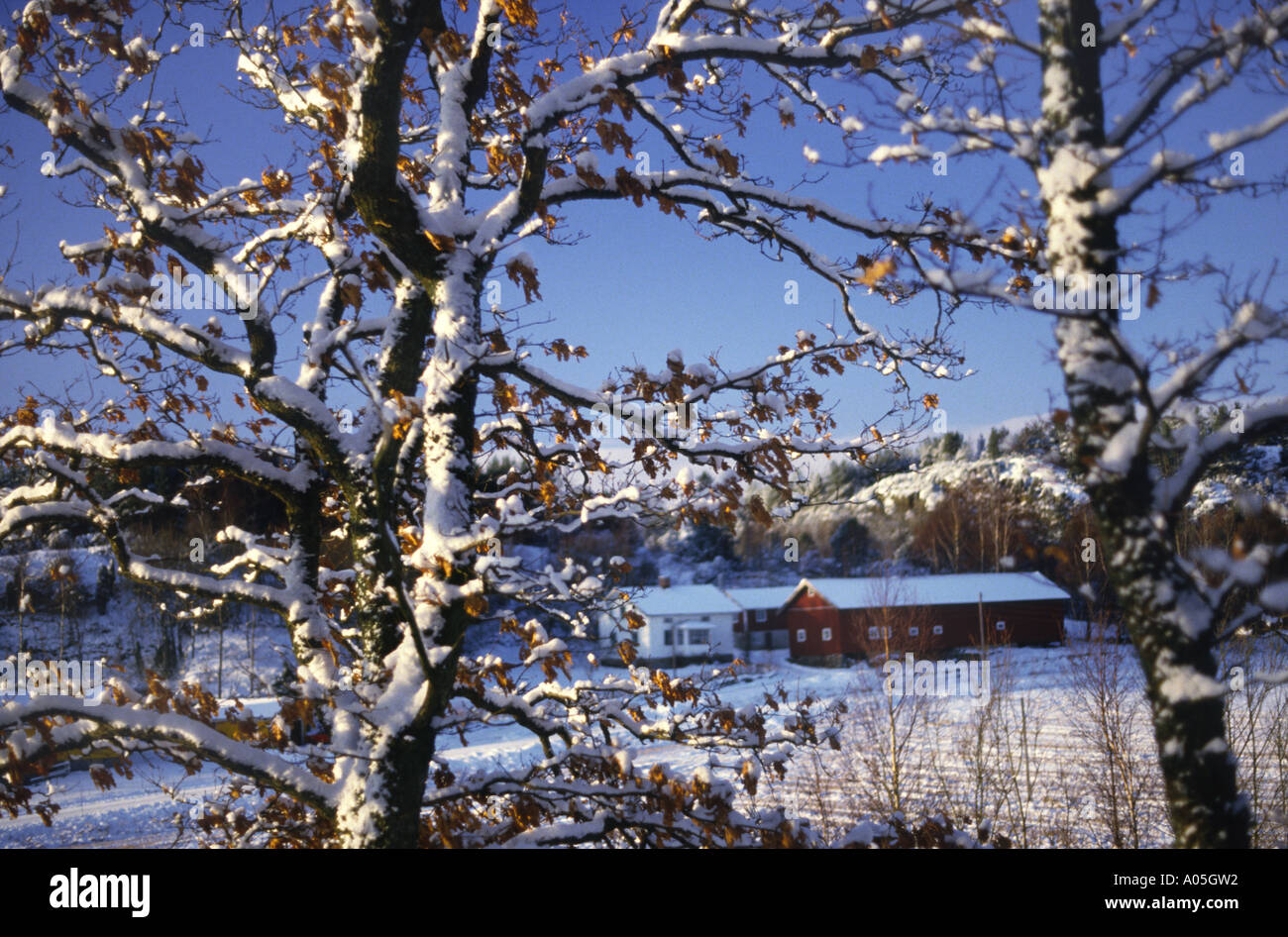 Winter landscape. Romelanda, Bohuslan, Sweden Stock Photo - Alamy