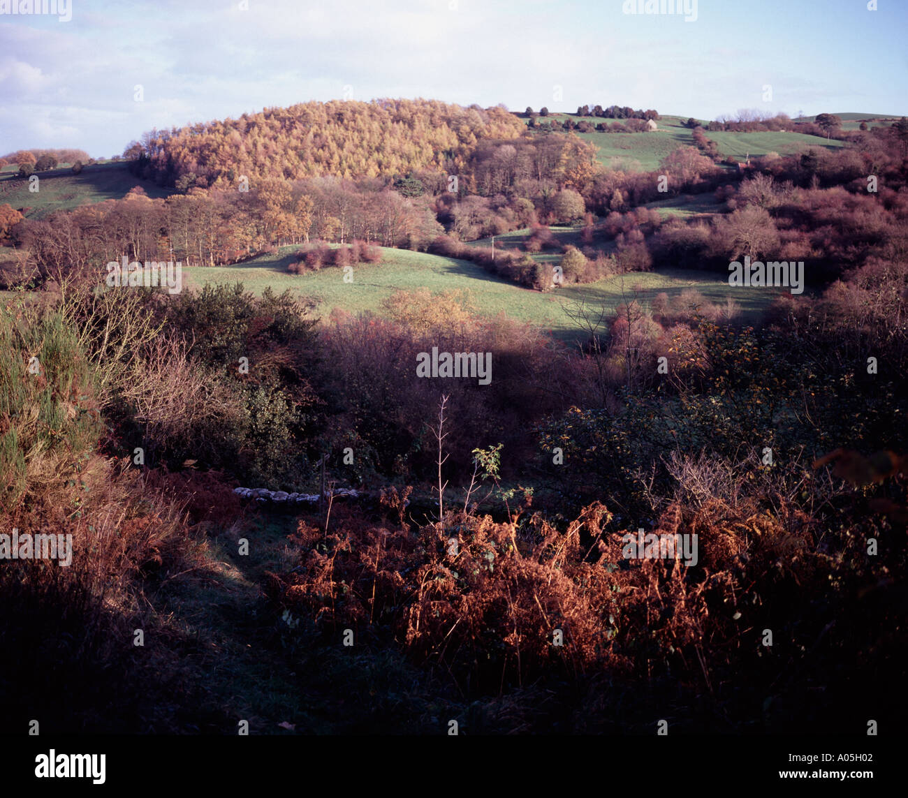 Esk valley walk hi-res stock photography and images - Alamy