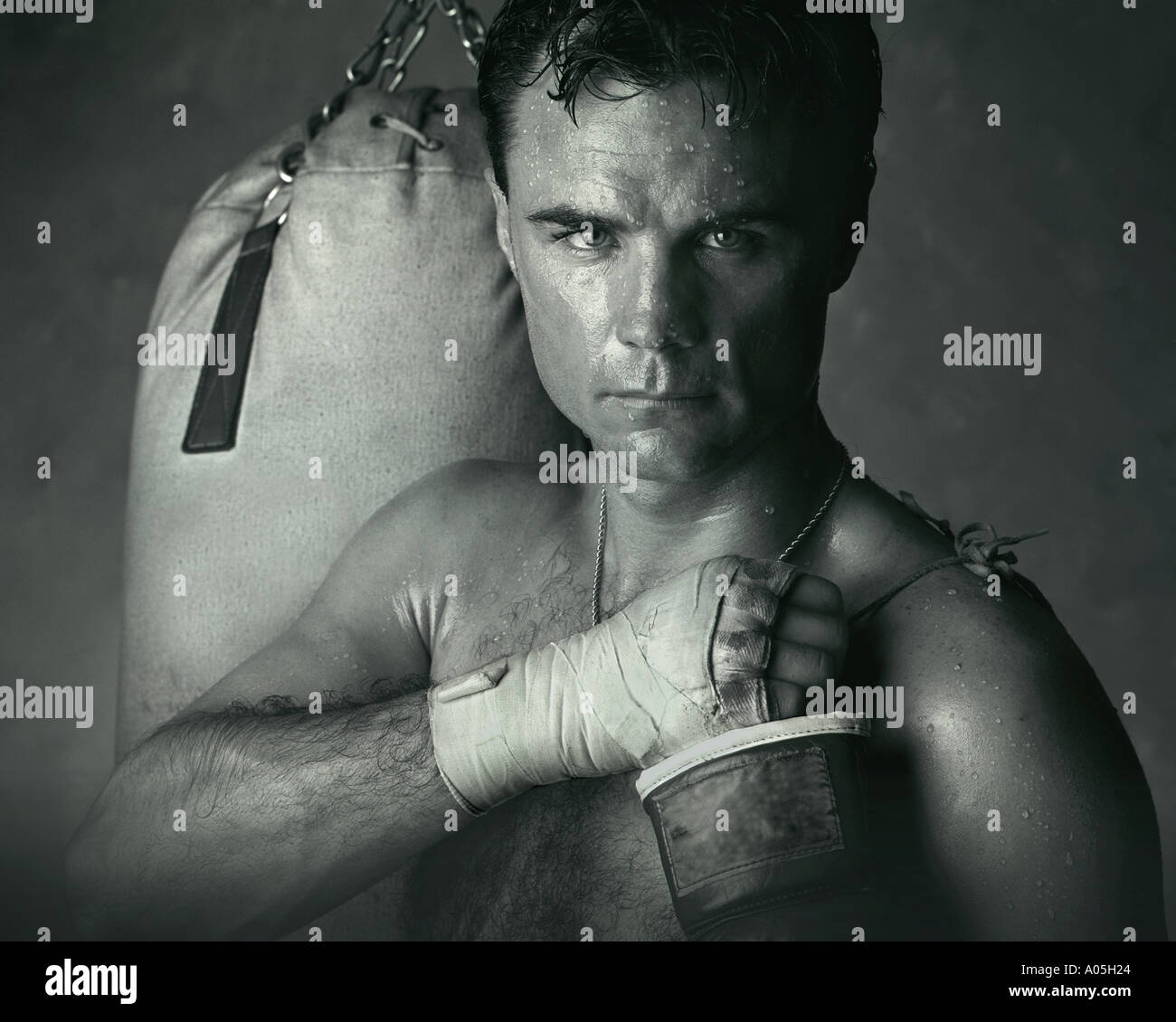 Portrait of a perspiring male boxer with boxing gloves hands taped and ...