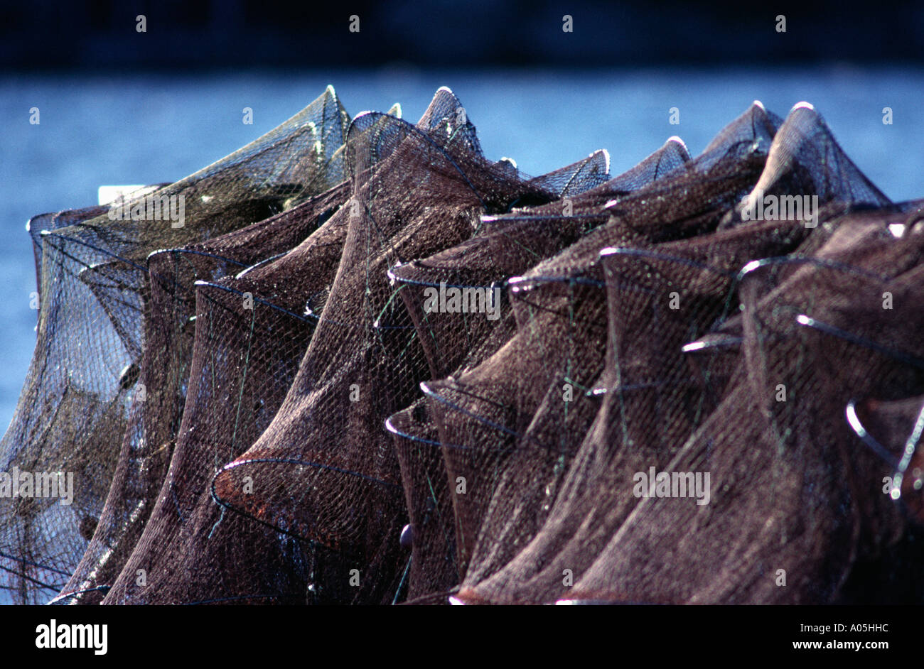 Hoop Net Trap High Resolution Stock Photography and Images - Alamy