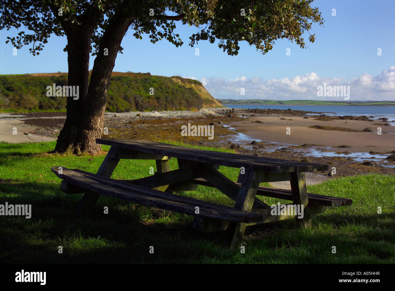 Picnic Bench Tree and Water Penrhos Country Park Anglesey North West ...