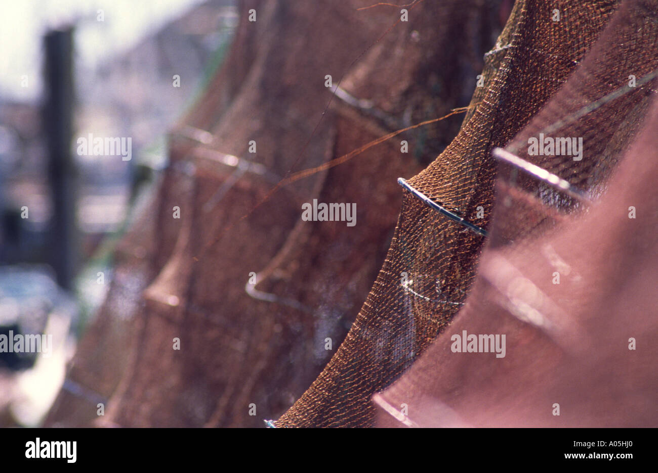 Hoop net trap hi-res stock photography and images - Alamy