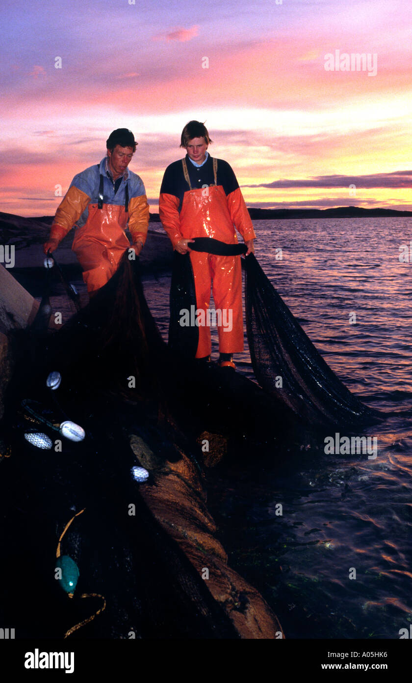 Herring pulling hi-res stock photography and images - Alamy