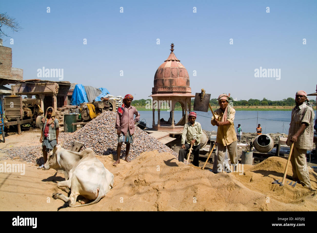 Workmen doing labor with cow resting among mess in religious village of ...
