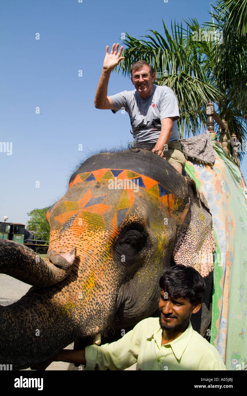 India man rides elephant hi-res stock photography and images - Alamy
