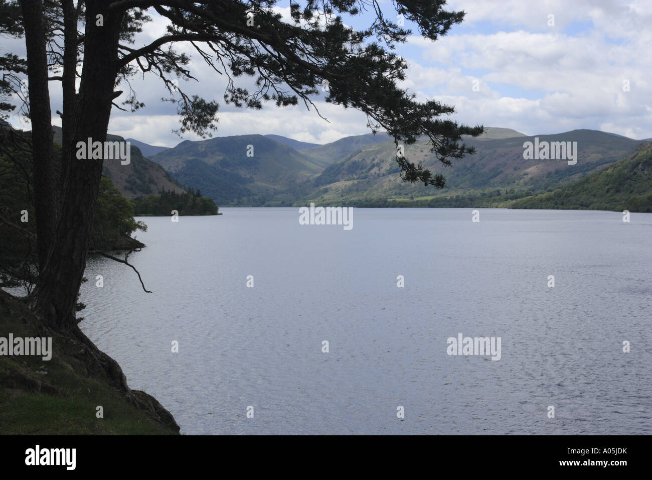 Lakeside View, Ullswater Stock Photo - Alamy