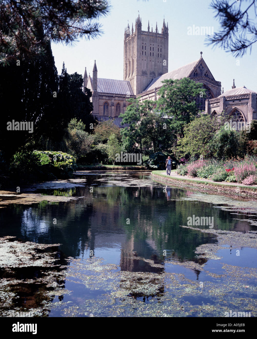 Bishops Palace grounds with Wells Cathedral - Cathedral of St Andrew ...