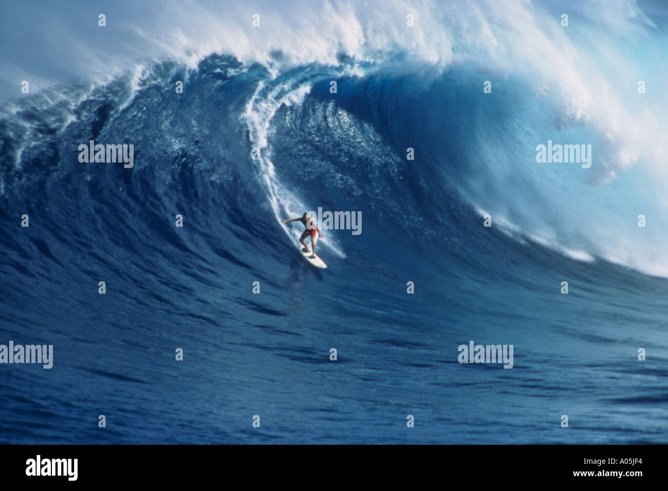 Man surfing a large wave off the island of Maui Hawaii Stock Photo - Alamy