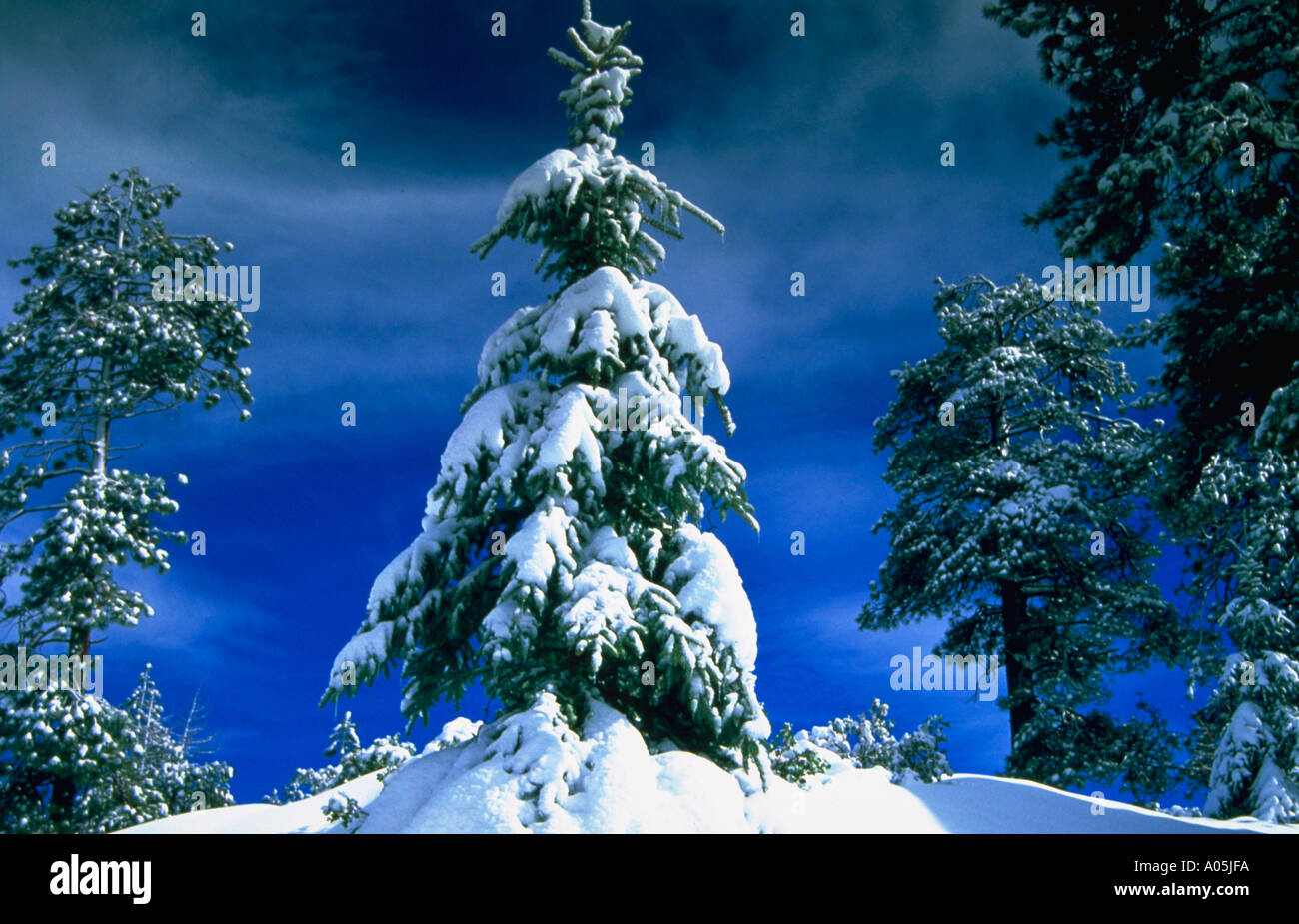 Big bear lake winter california hi-res stock photography and images - Alamy