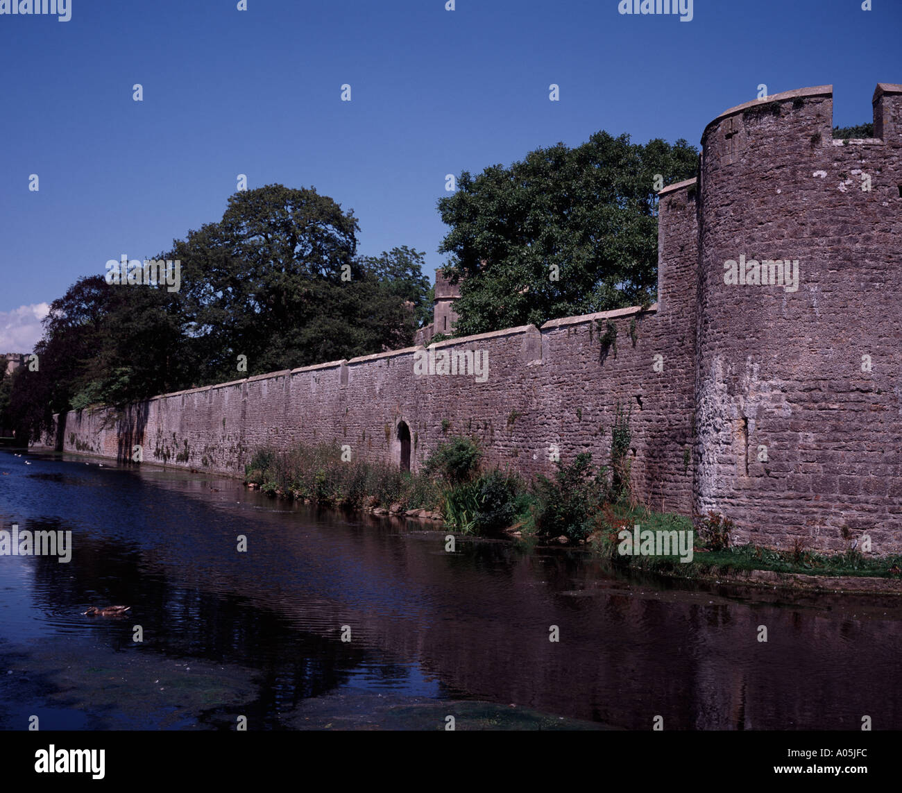 Bishops Palace Tower and moat Wells Somerset UK Stock Photo - Alamy