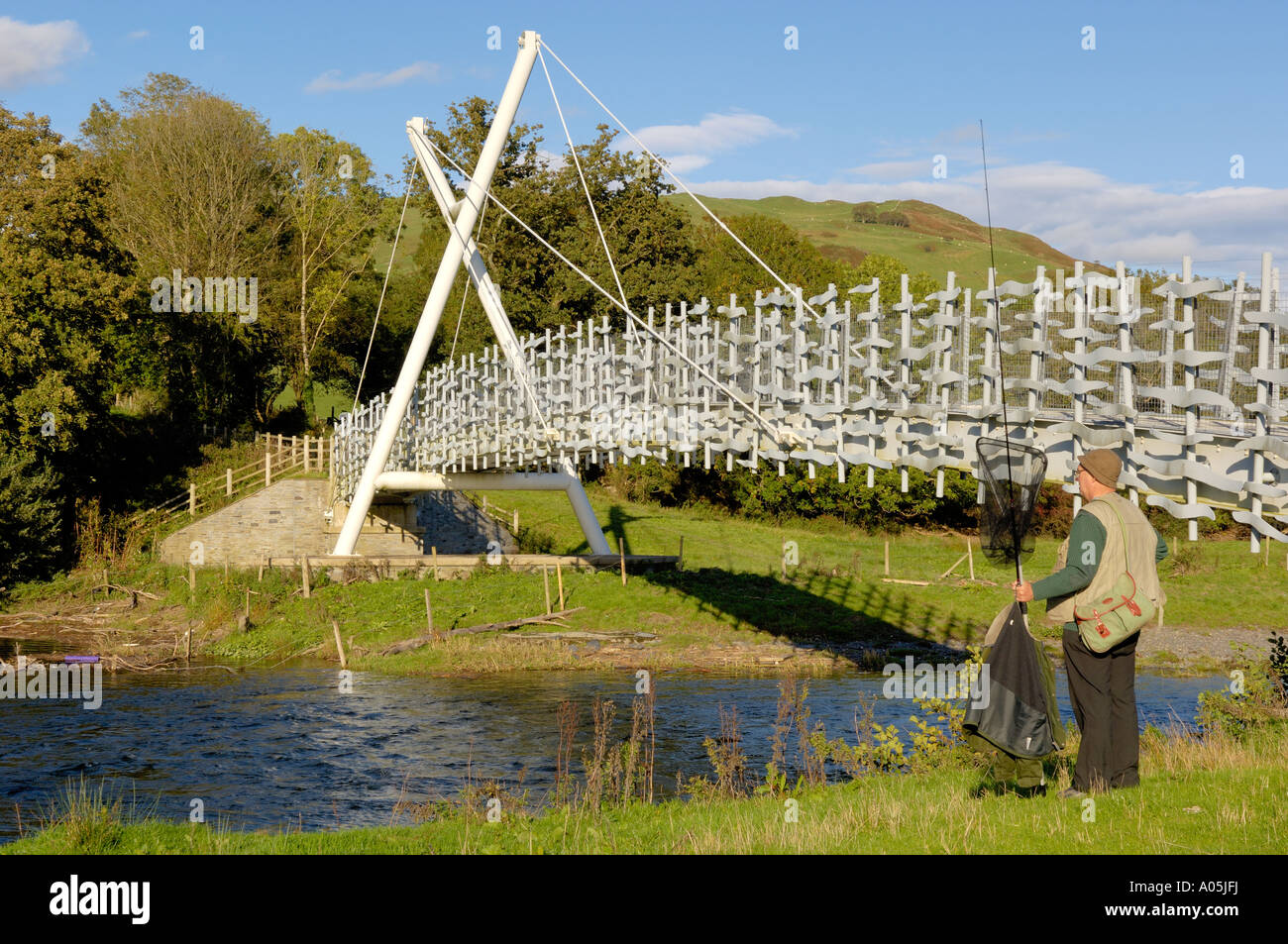 Salmon Fishing River Dovey Millennium Bridge Machynlleth Mid Wales ...