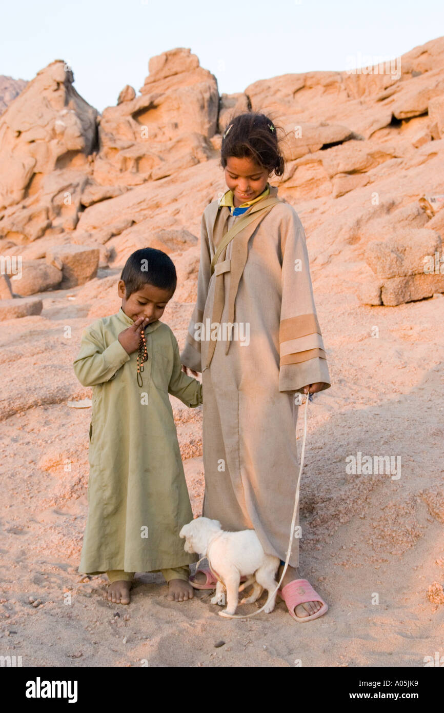 Bedouin dog hi-res stock photography and images - Alamy