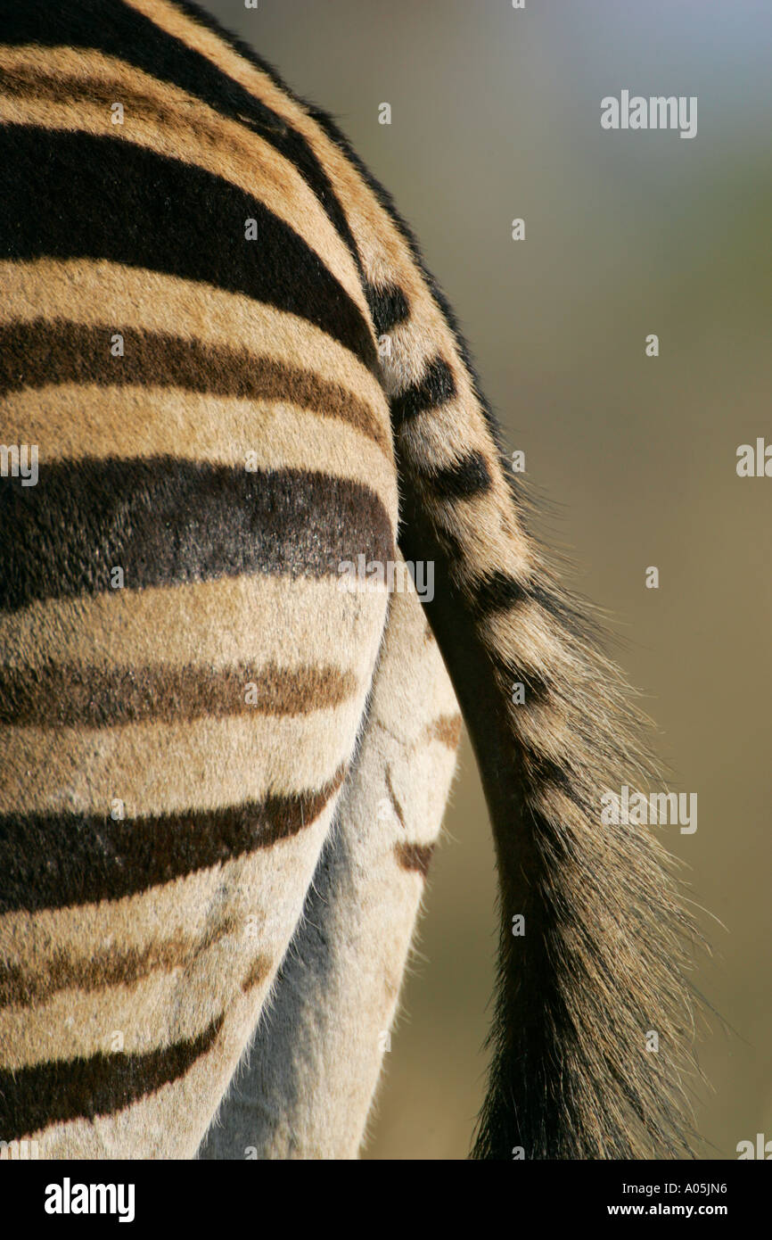 Orientation markings hi-res stock photography and images - Alamy