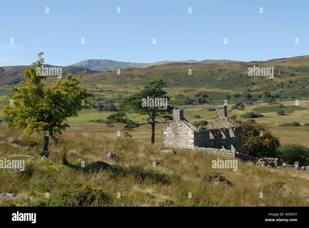 Farm Ruins Carneddau Snowdonia North West Wales Stock Photo - Alamy