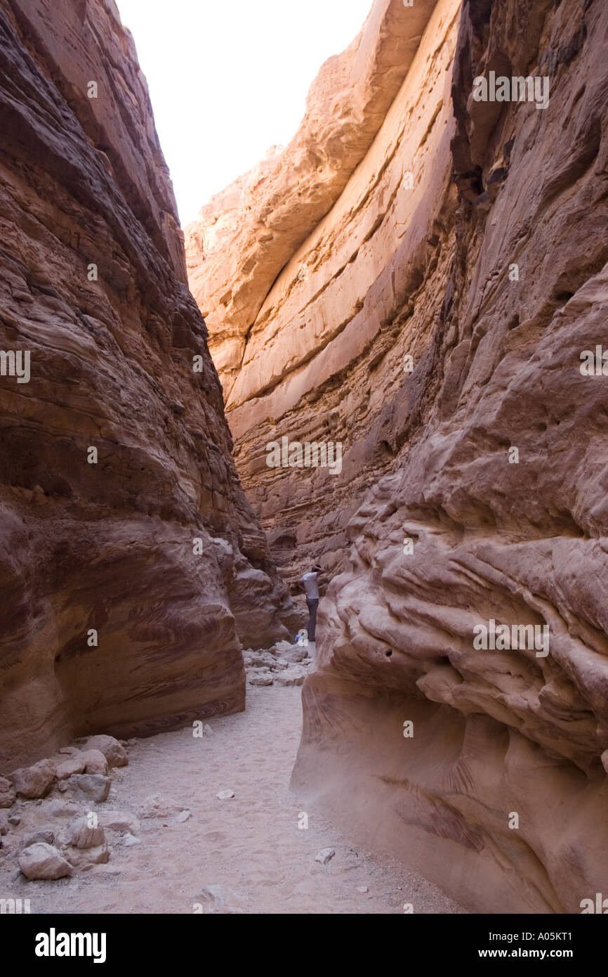 Colored canyon in Sinai Stock Photo - Alamy