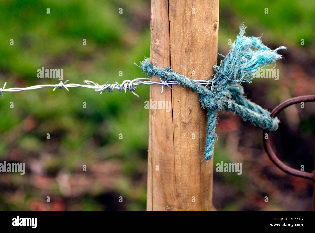 barbed wire on wooden post Stock Photo - Alamy
