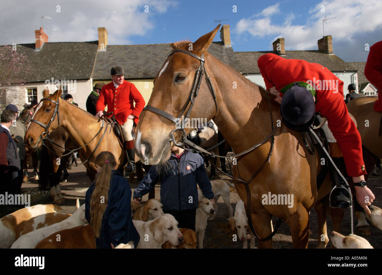 Hounds fox hunting wales uk hi-res stock photography and images - Alamy