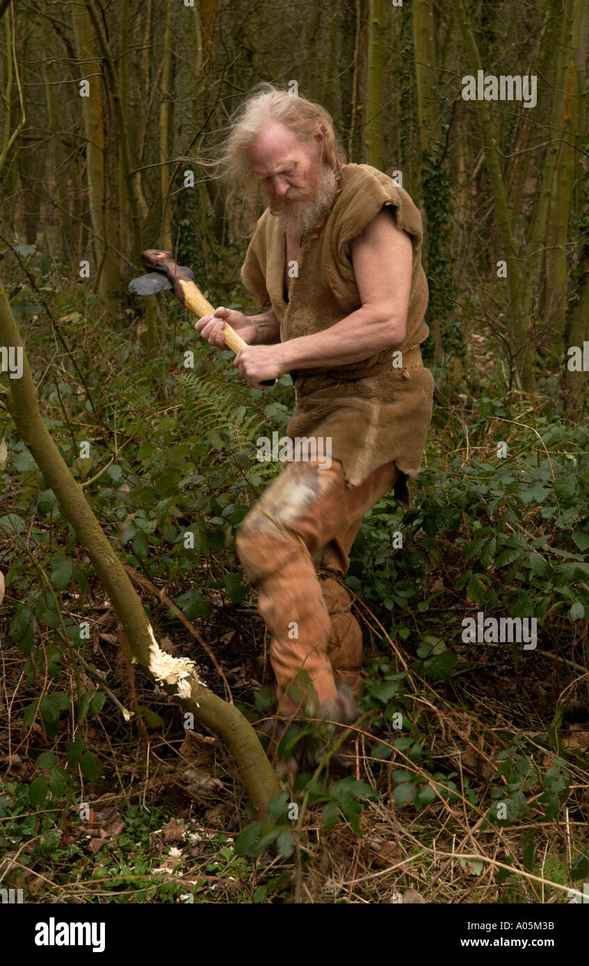 Professional stoneage neolithic museum hi-res stock photography and ...