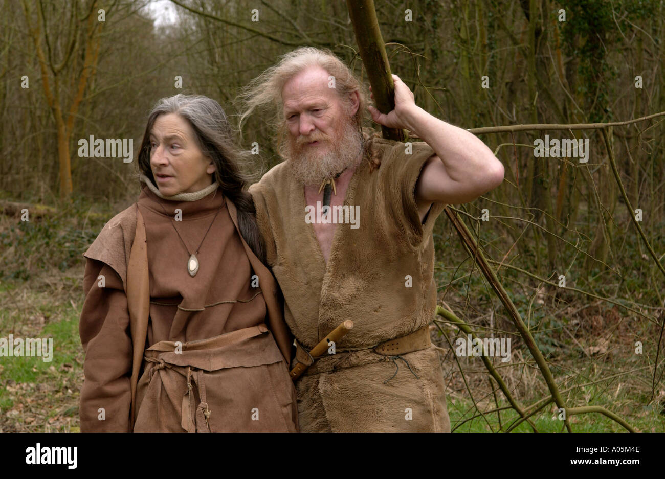Professional Stoneage reenactors cut down a small tree with a flint axe ...
