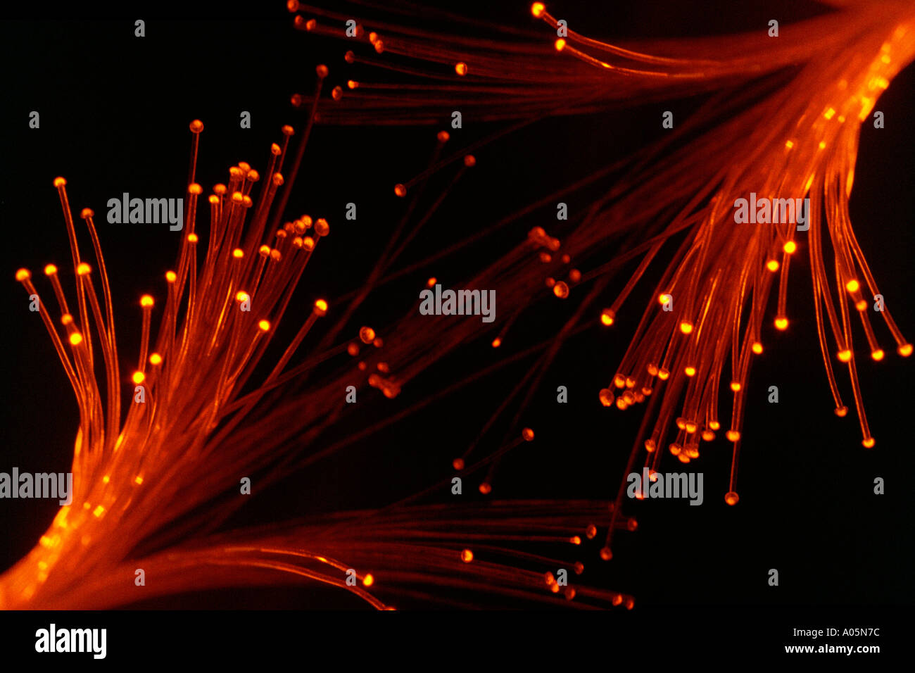 Fiber analysis hi-res stock photography and images - Alamy