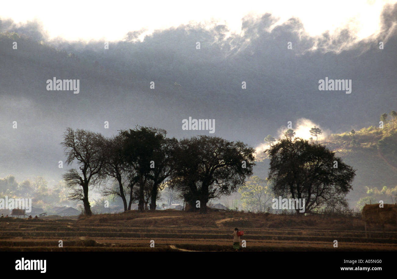 Mist over rice fields at dawn. Near Phonsavan, Xieng Khuang, Laos Stock ...
