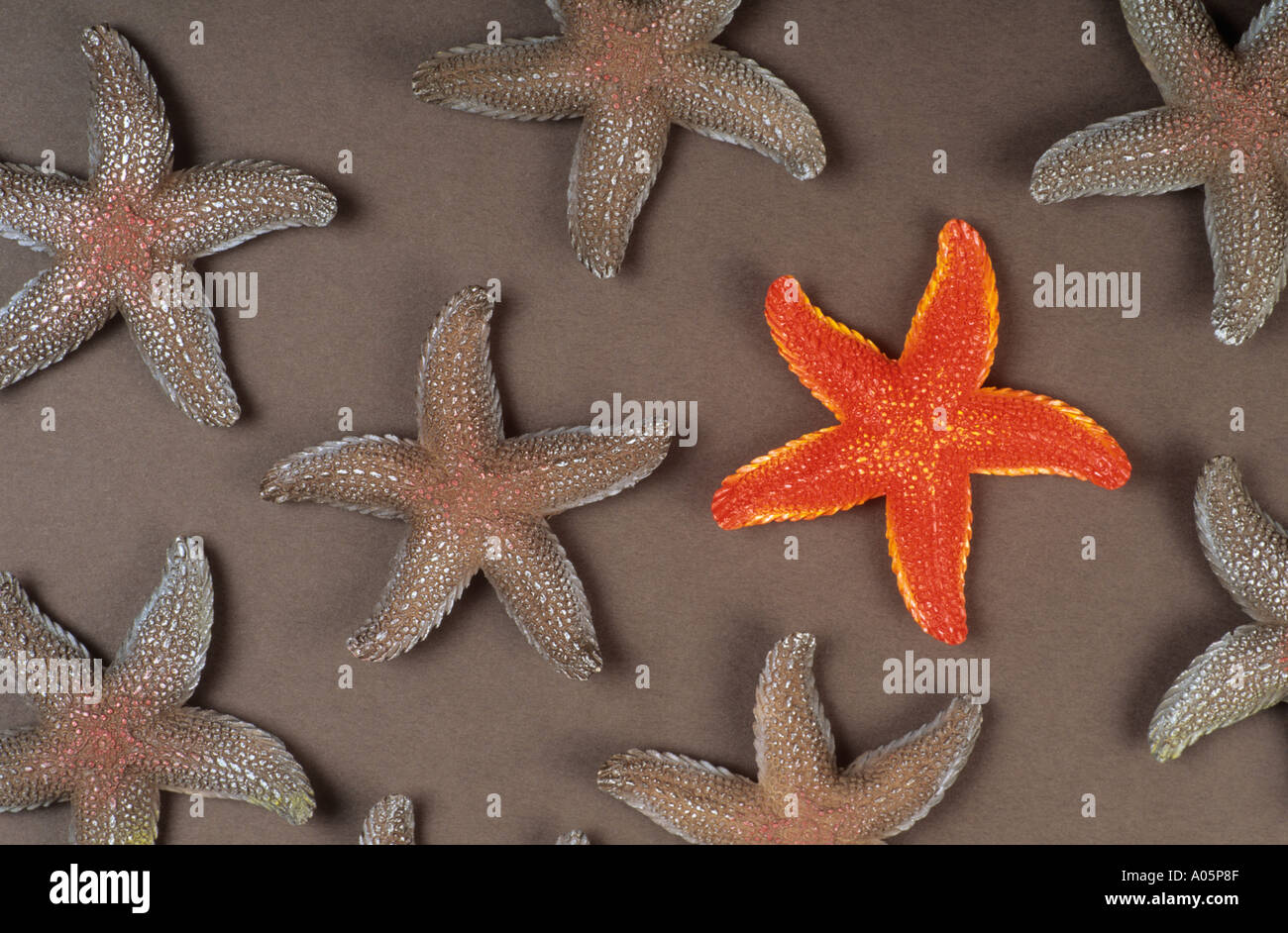 Odd one out Stock Photo - Alamy