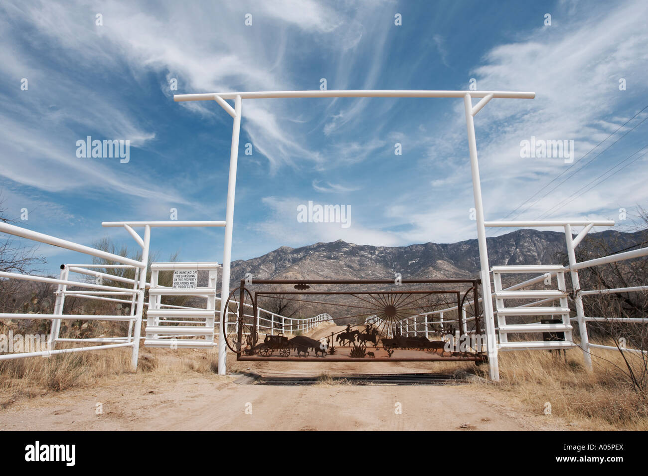 Horse drawn wagon desert hi-res stock photography and images - Alamy