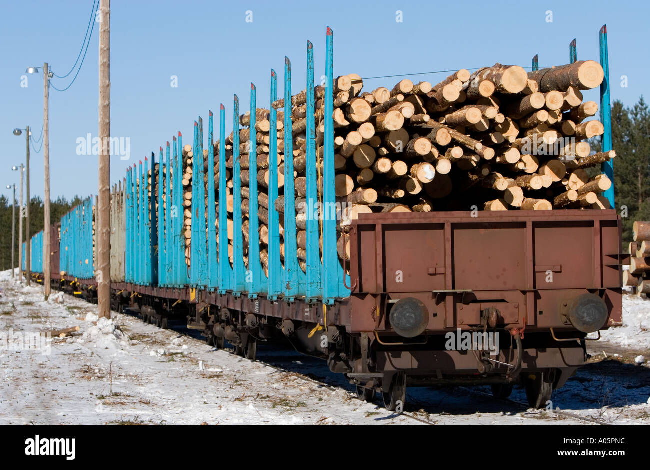 Long train carrying logs hi-res stock photography and images - Alamy
