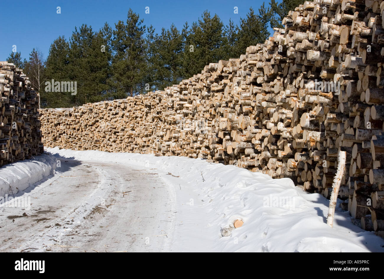 Roadside log piles hi-res stock photography and images - Alamy