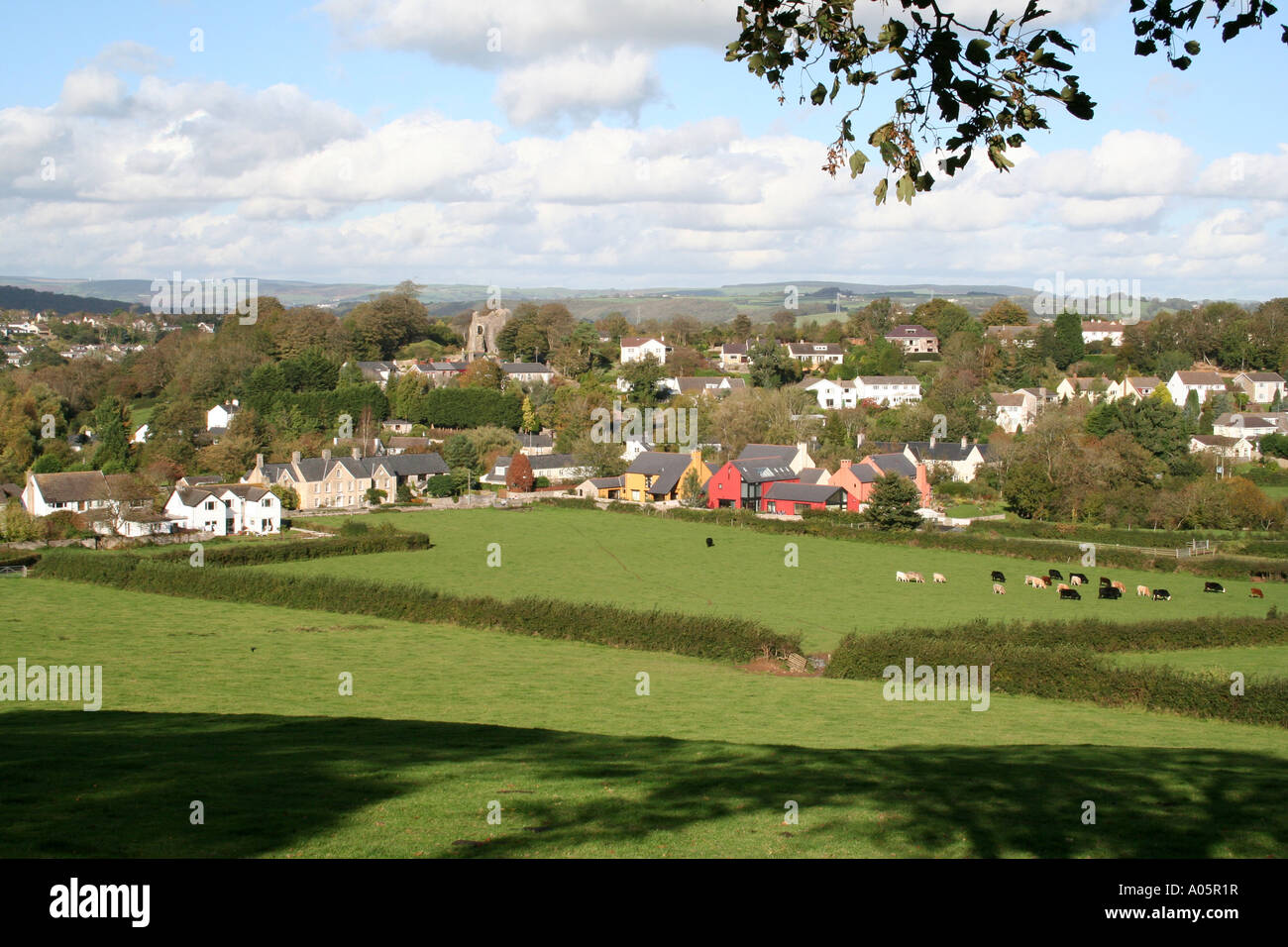 Glamorgan cow hi-res stock photography and images - Alamy