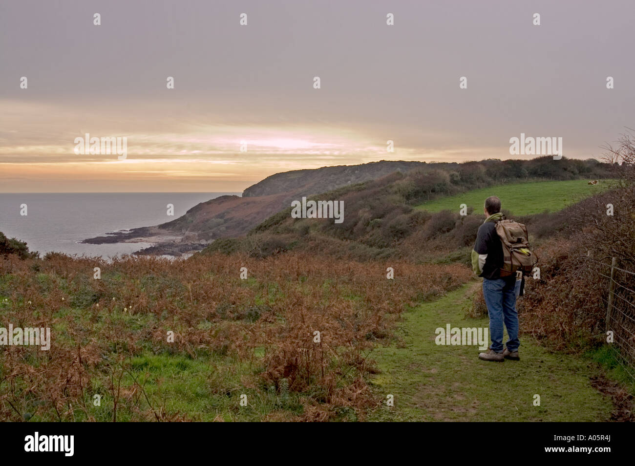 Walker on Clifftop at Sunset Pwlldu Bay Gower South Wales Stock Photo ...