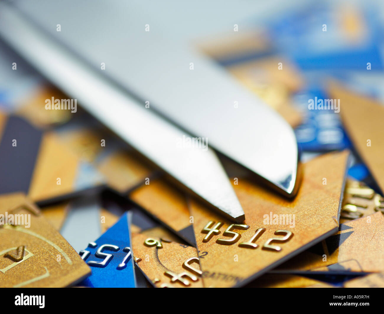 Close up social security cards hi-res stock photography and images - Alamy