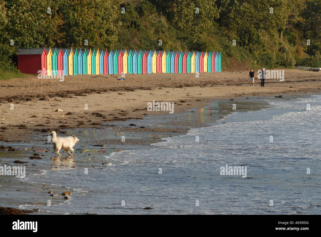 Llanbedrog beach summer hi-res stock photography and images - Alamy