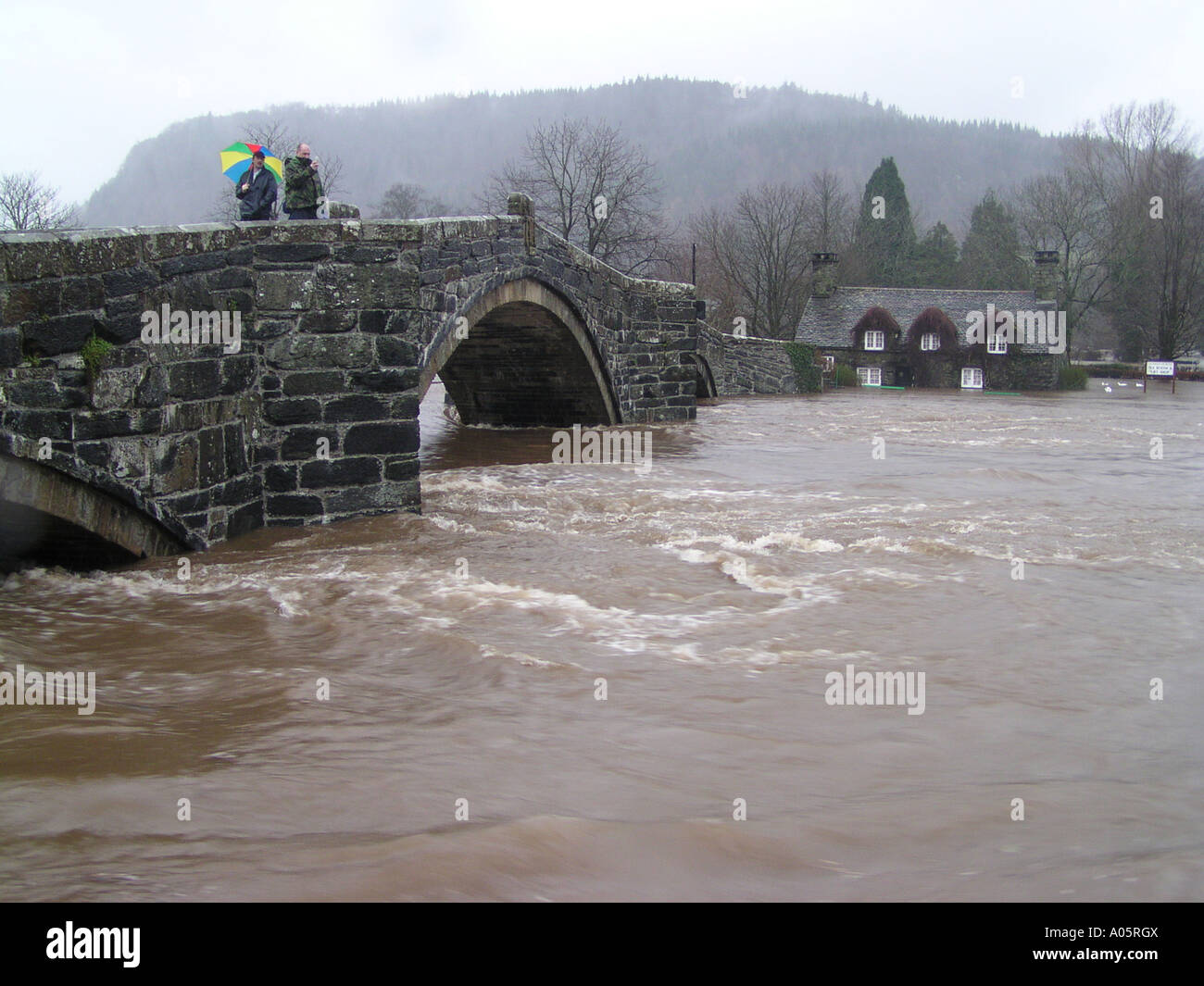 Floods River Conwy Pont Fawr Bridge Llanrwst Conwy North West Wales ...