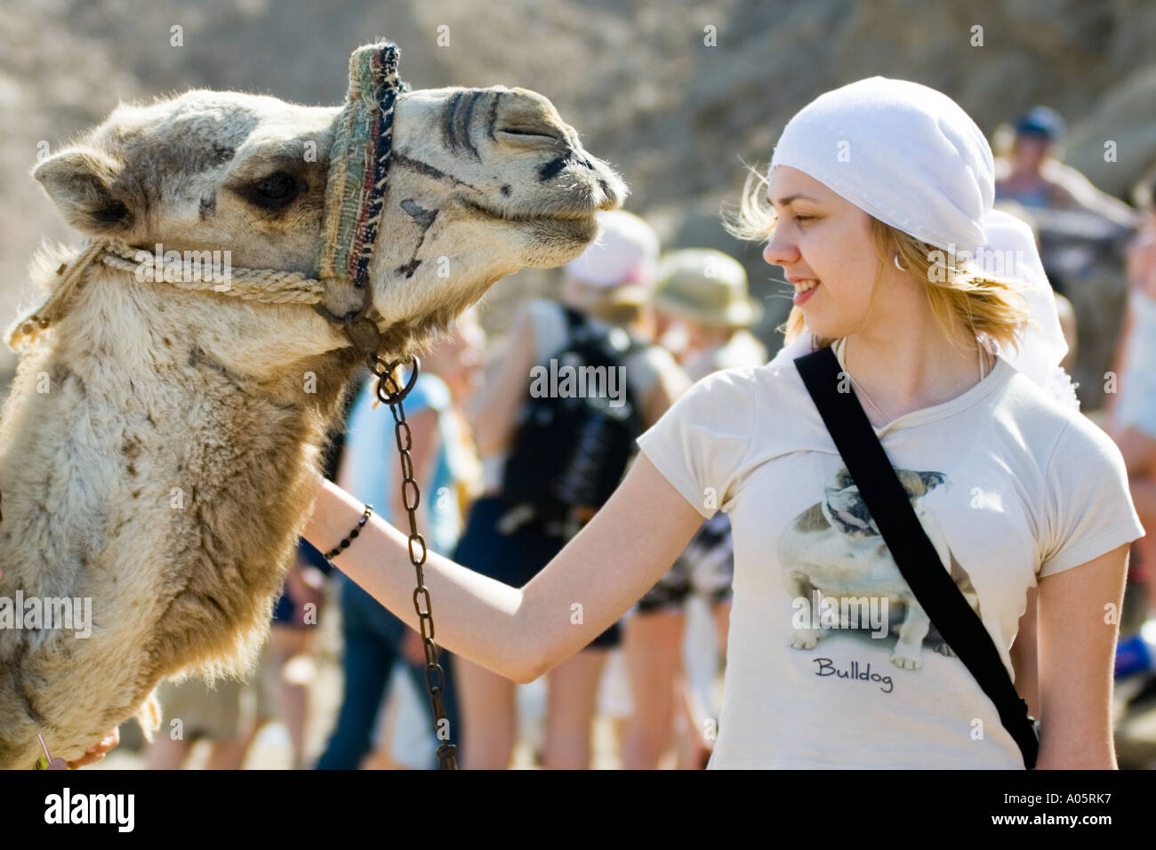 Camel and girl Stock Photo - Alamy