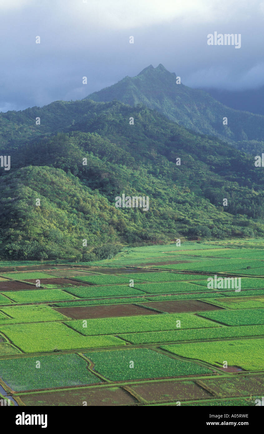 Hanalei Valley Kaui Hawaii United States of America Stock Photo - Alamy