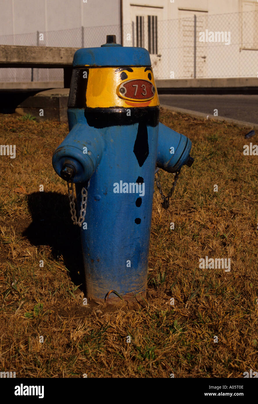 funny colourful fire hydrant Stock Photo - Alamy