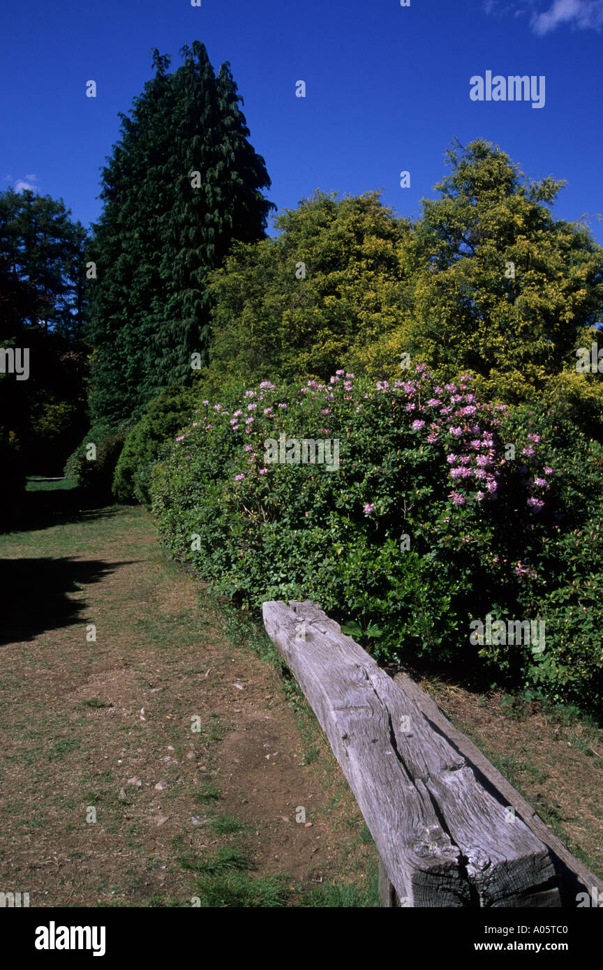 bench trees and flowers in San Grato Botanical Park Carona Canton ...