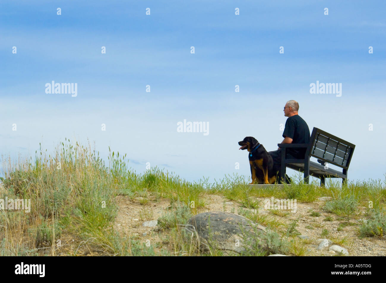 Stop contemplate and of hi-res stock photography and images - Alamy