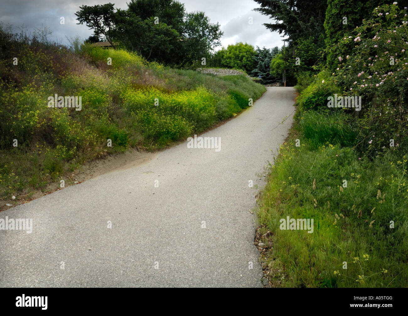 a long and winding road pathway that leads to where Stock Photo - Alamy