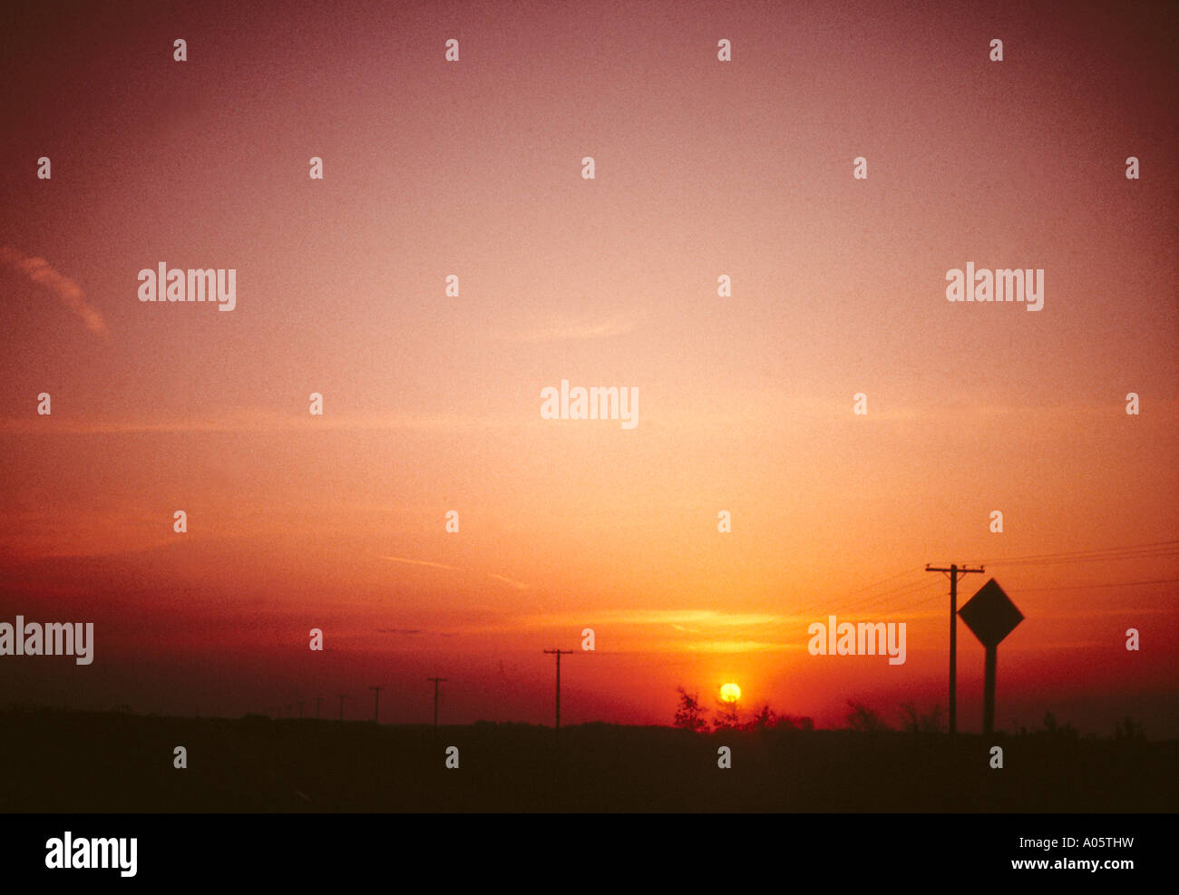 Trees and telephone poles hi-res stock photography and images - Alamy