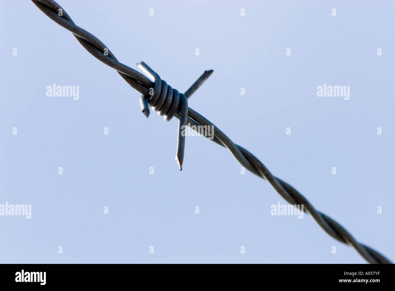 Barbed wire spikes Stock Photo - Alamy