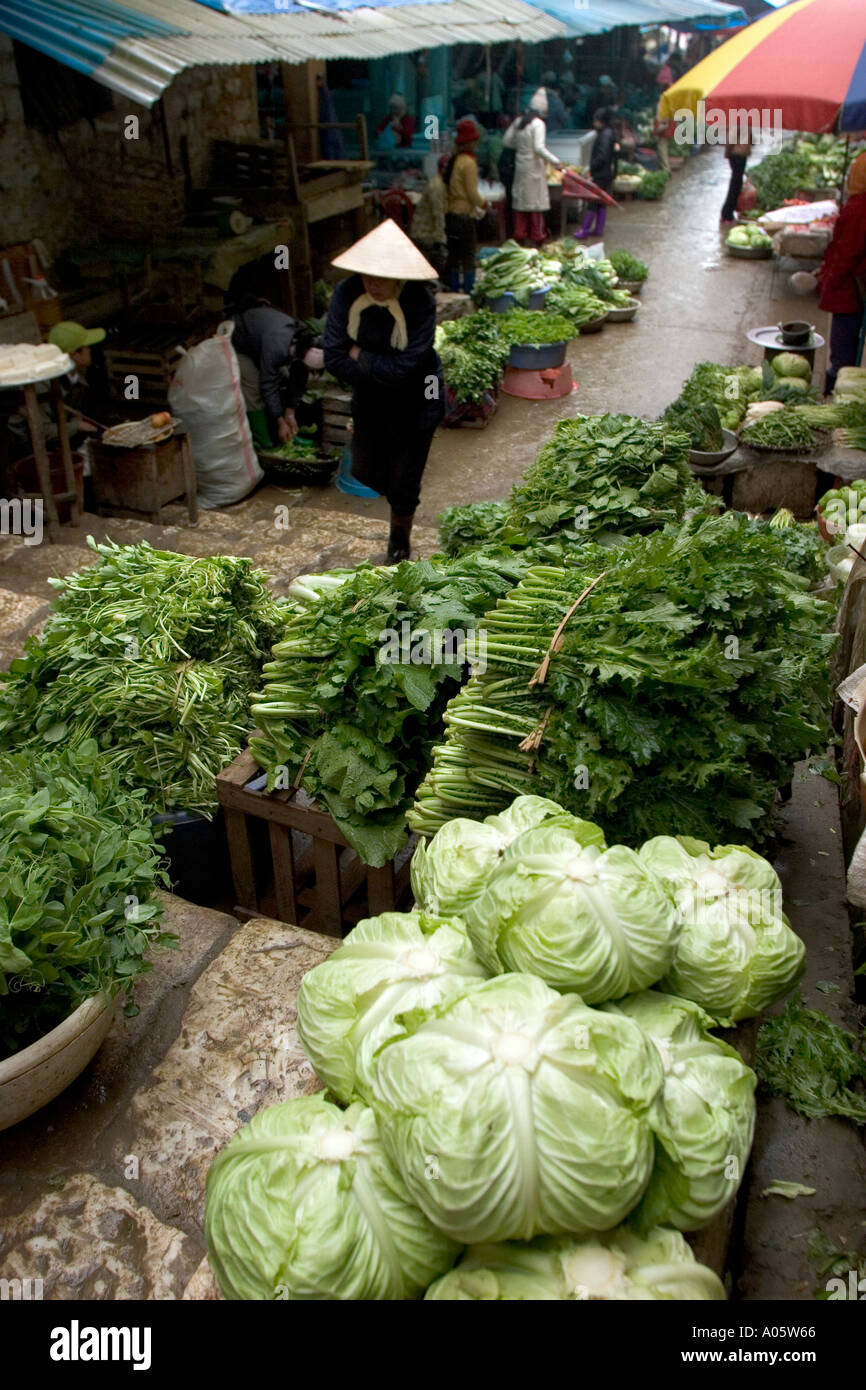 Northwest mountains of vietnam hi-res stock photography and images - Alamy