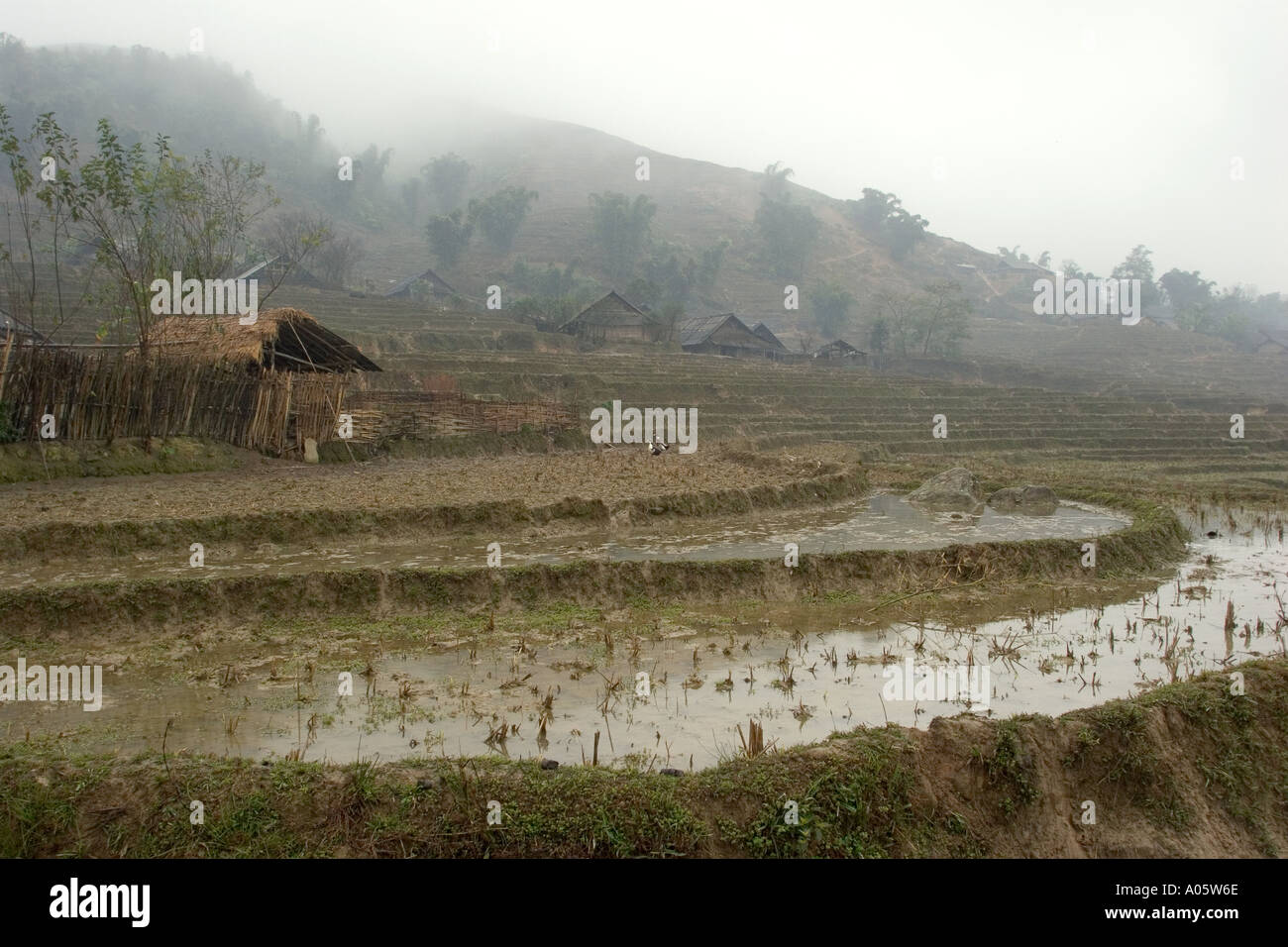 northwest Vietnam Sapa Black H Mong tribal area Lao Chai Village ...