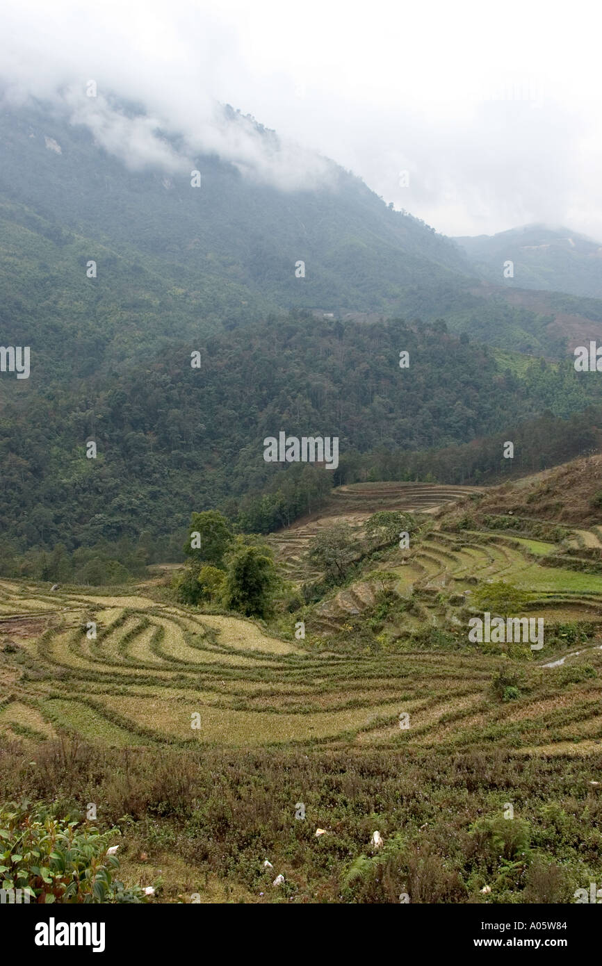 Vietnam su pan hi-res stock photography and images - Alamy
